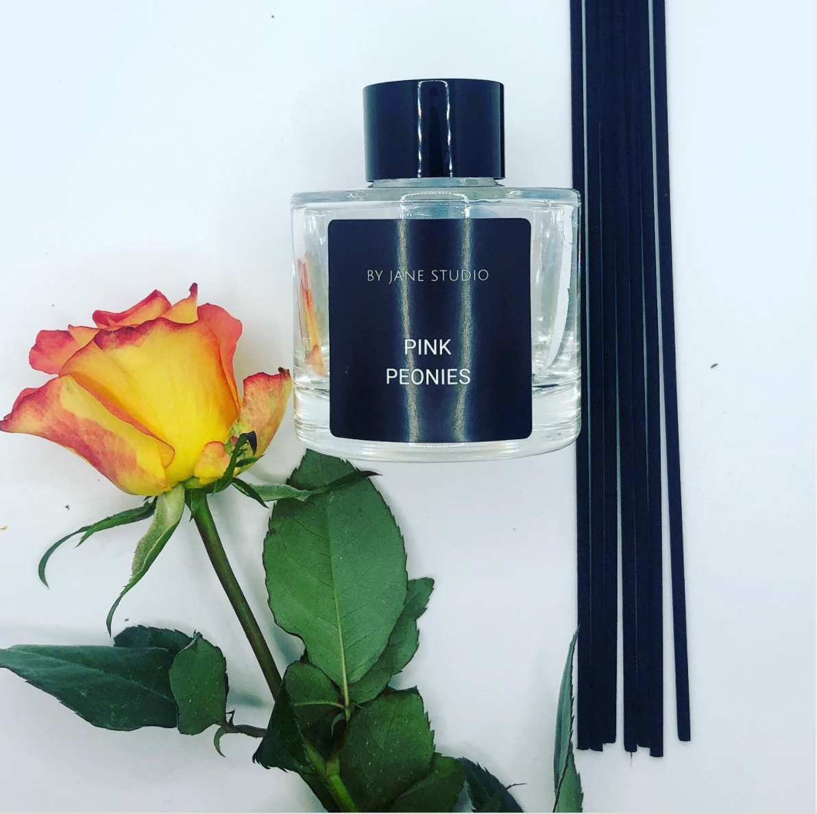 Diffusers & Refills – By Jane Studio